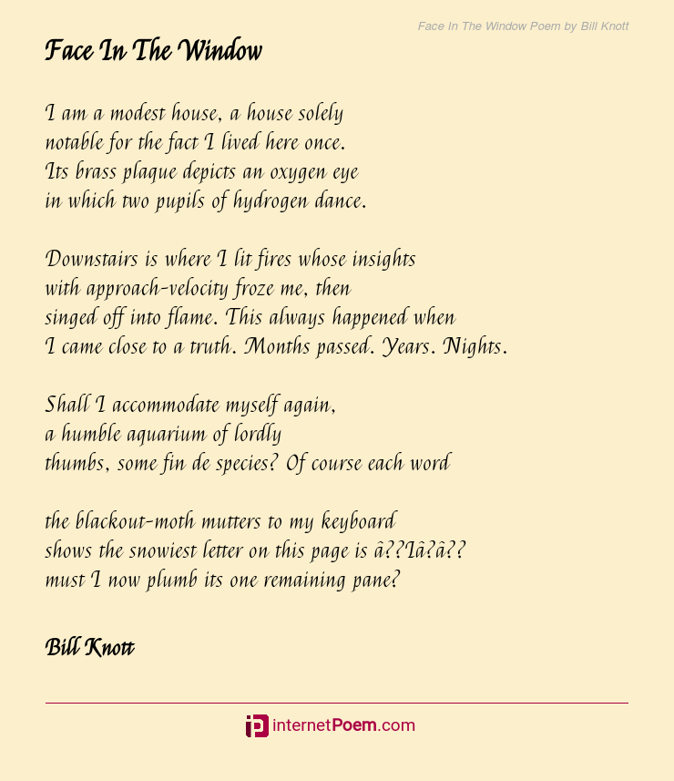 Face In The Window Poem by Bill Knott