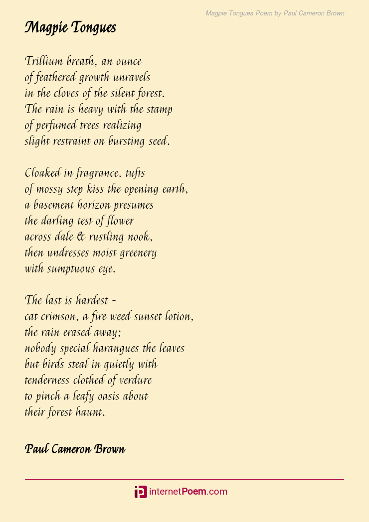 Magpie Tongues Poem by Paul Cameron Brown