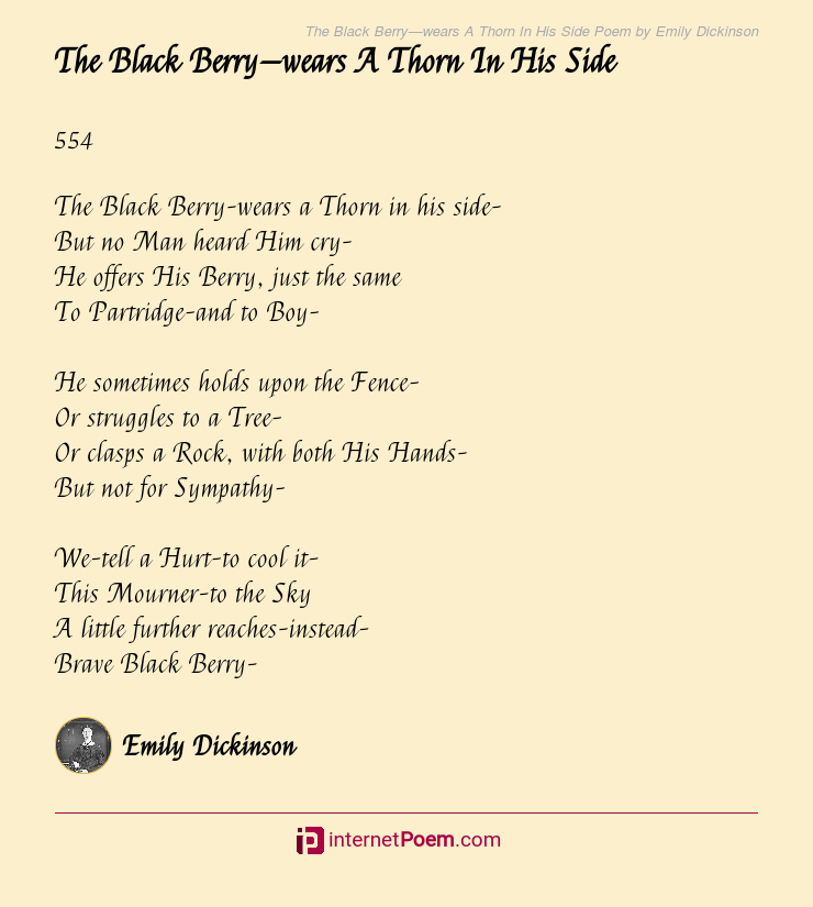 The Black Berry'wears A Thorn In His Side Poem by Emily Dickinson