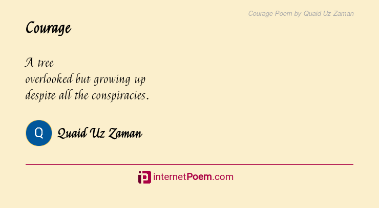 Courage Poem by Quaid Uz Zaman
