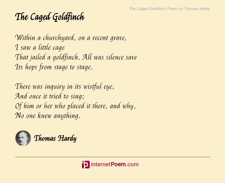 The Caged Goldfinch Poem by Thomas Hardy
