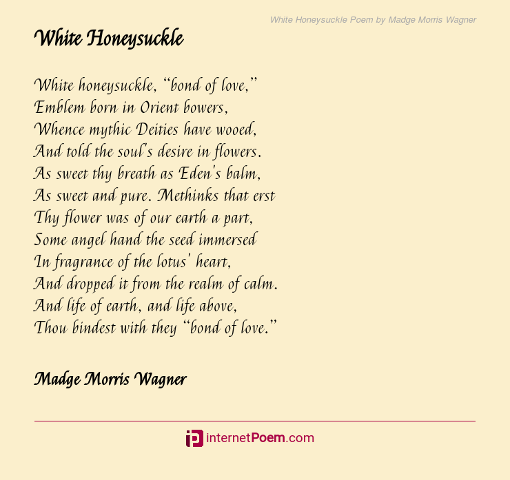 White Honeysuckle Poem by Madge Morris Wagner