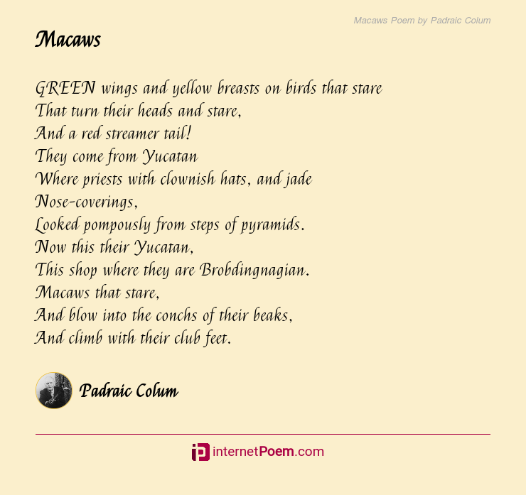Macaws Poem by Padraic Colum