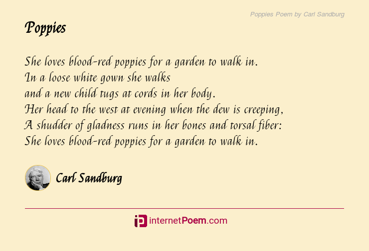 Poppies Poem by Carl Sandburg