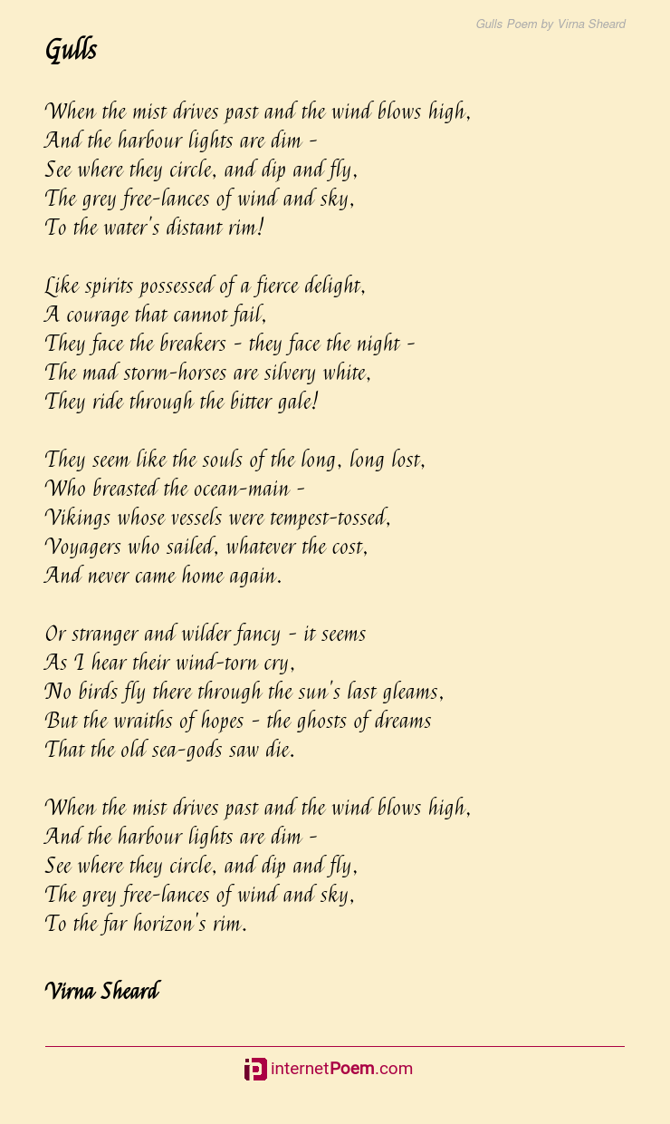 Gulls Poem by Virna Sheard