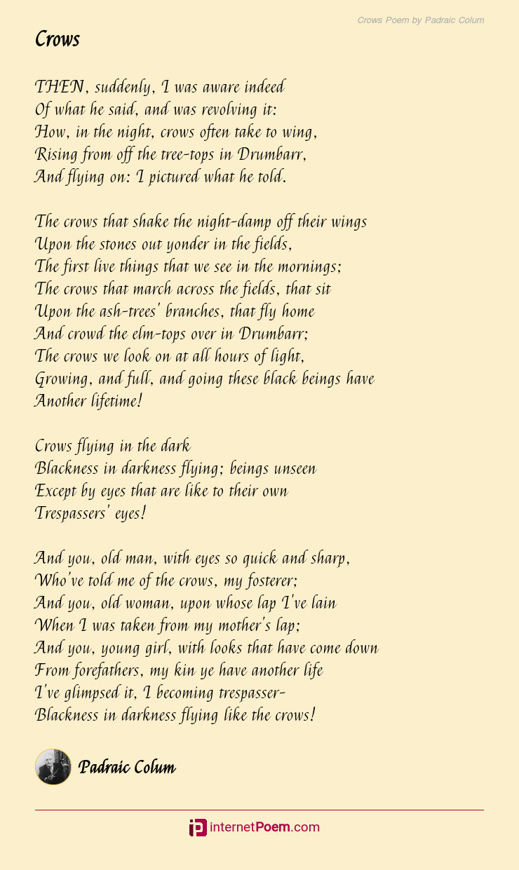 Crows Poem by Padraic Colum