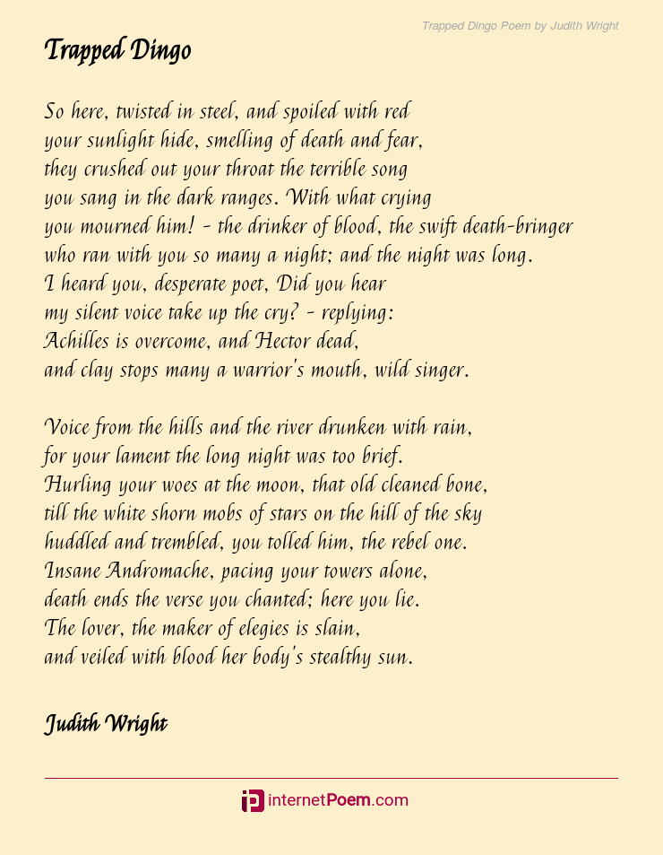 Trapped Dingo Poem by Judith Wright