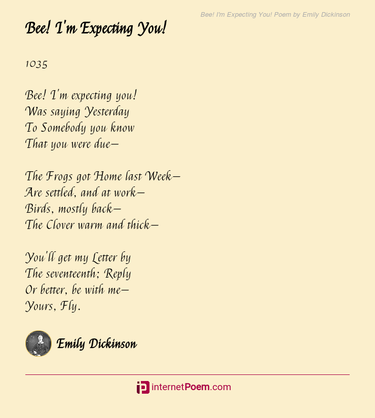 Bee! I'm Expecting You! Poem by Emily Dickinson