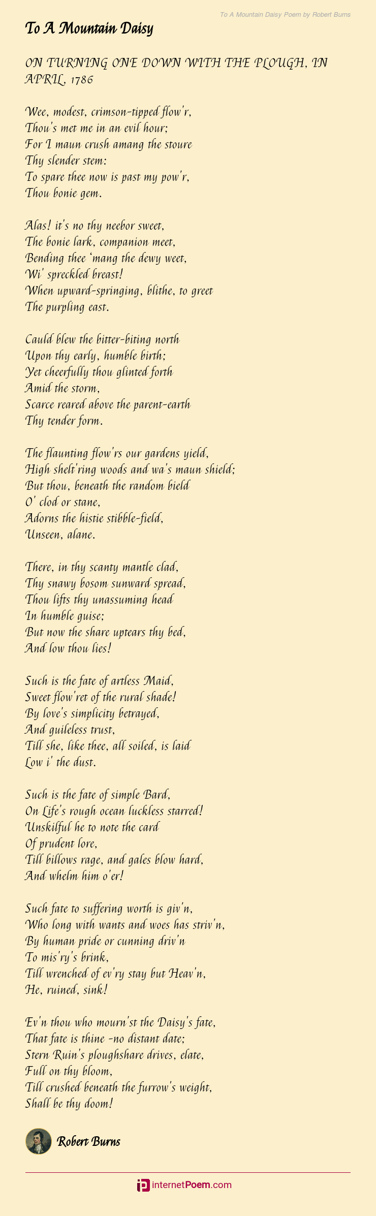 To A Mountain Daisy Poem by Robert Burns