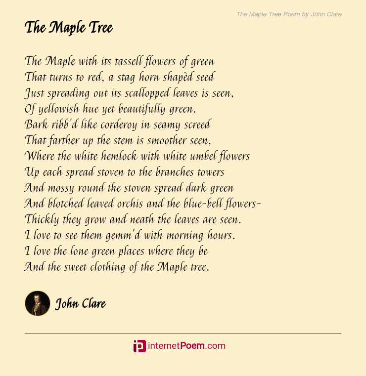 The Maple Tree Poem by John Clare