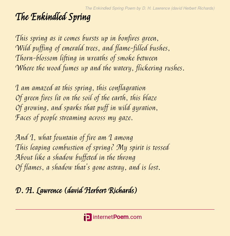The Enkindled Spring Poem by D. H. Lawrence (david Herbert Richards)