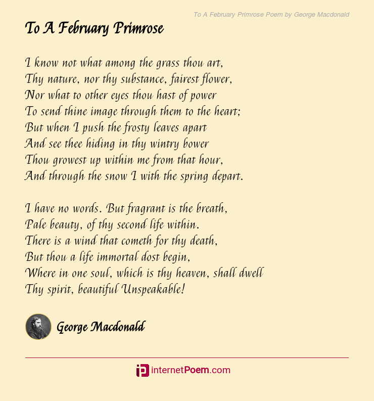 To A February Primrose Poem Rhyme Scheme