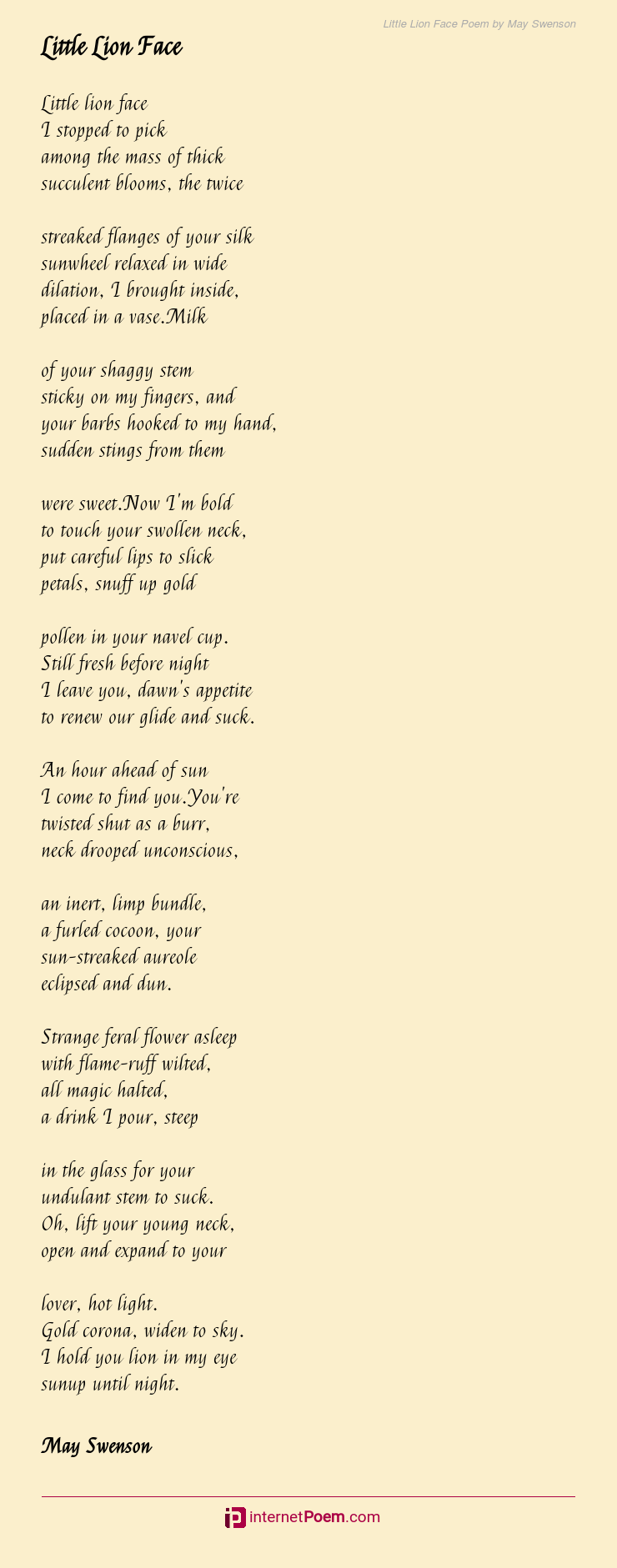 Little Lion Face Poem by May Swenson