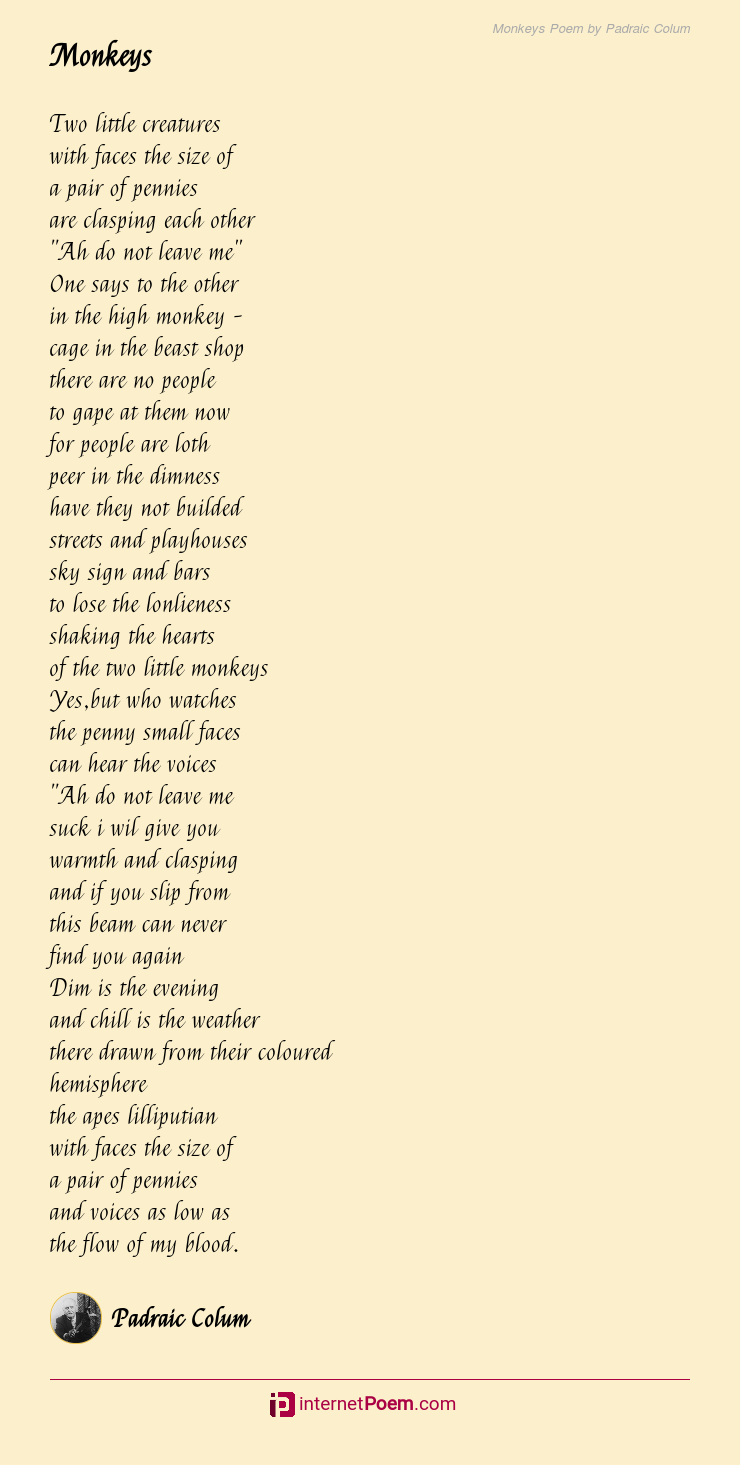 Monkeys Poem by Padraic Colum