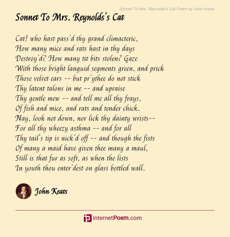 Sonnet To Mrs. Reynolds's Cat Poem by John Keats