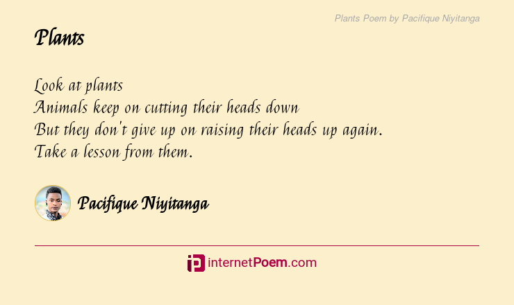 Plants Poem by Niyitanga Pacifique