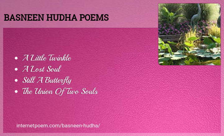 Basneen Hudha Face Poems