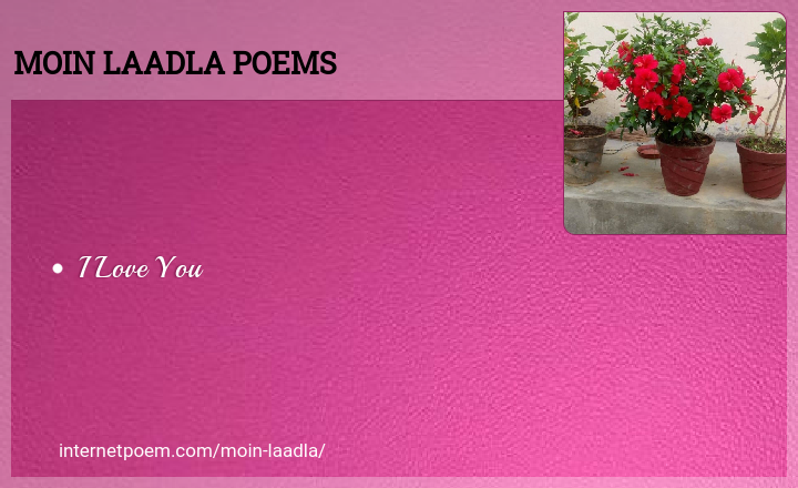 Biography of Moin Laadla