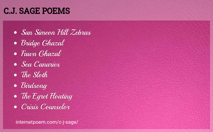 C.j. Sage Women Poems